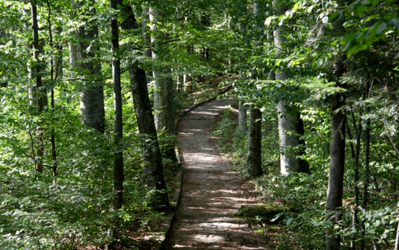 Poteca Regală din Sinaia: Drumul de la Castelul Peleș până la Poiana ...