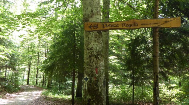 Poteca regală: Locul spectaculos din Sinaia, care pare desprins din ...